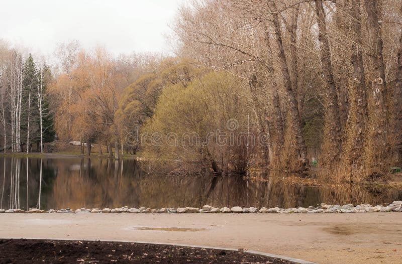 Early spring in park stock image. Image of green, fall - 70768175