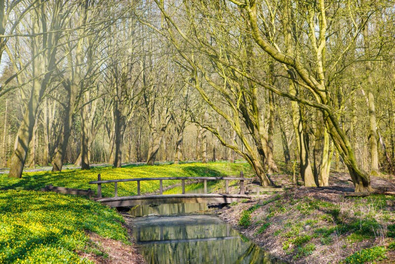 Early spring in a park stock photo. Image of outdoor - 51848630
