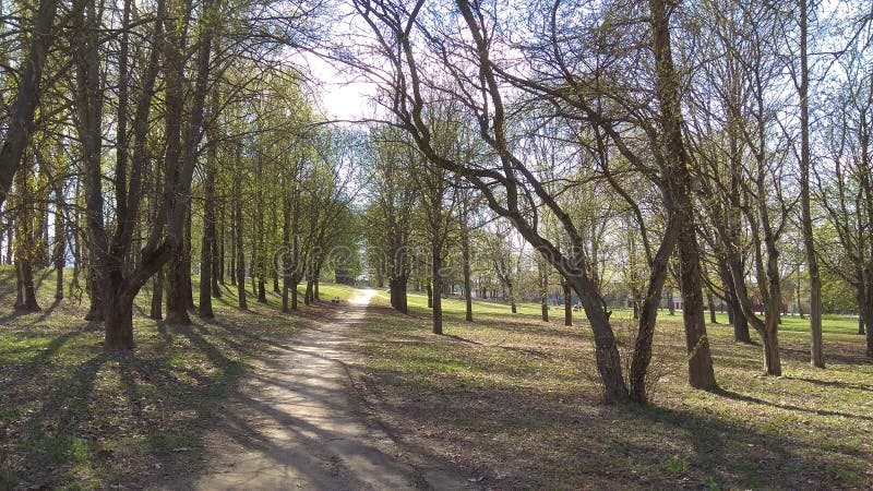 Early Spring Park in Minsk Horizontal Stock Image - Image of ...
