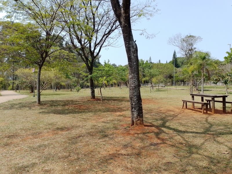 Early Spring in Park at Noon Stock Photo - Image of landscape, flower ...
