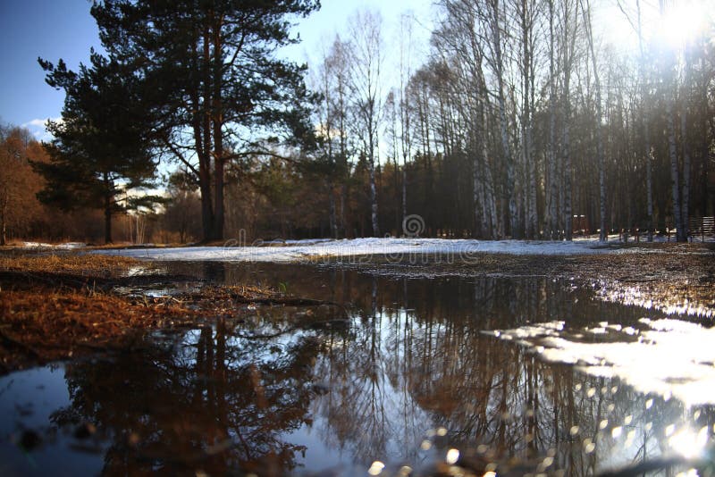 Early spring in park stock photo. Image of forest, beauty - 69413836