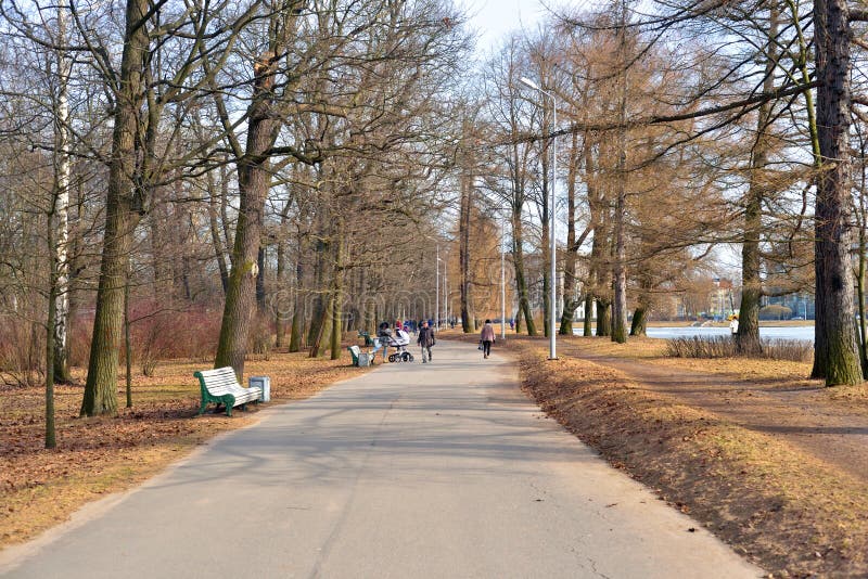 Early spring park. stock image. Image of rural, road - 104898473