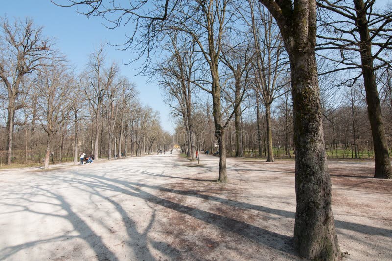 Early spring in park stock image. Image of springtime - 88892747