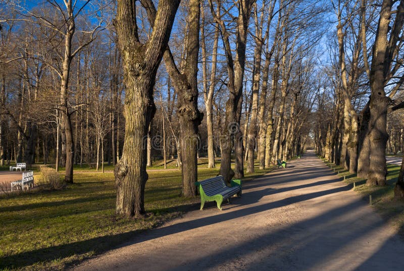 Early Spring stock photo. Image of blue, deciduous, trees - 66202956