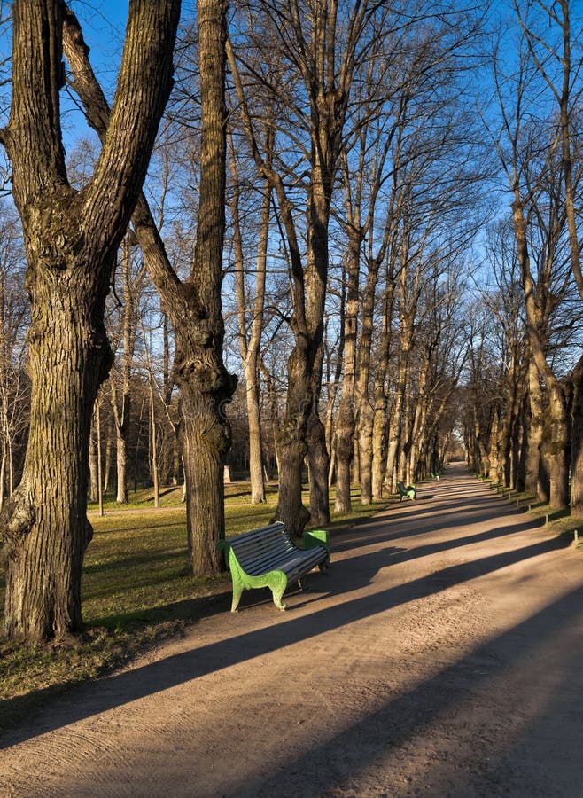Early Spring stock image. Image of alley, spring, park - 66203057