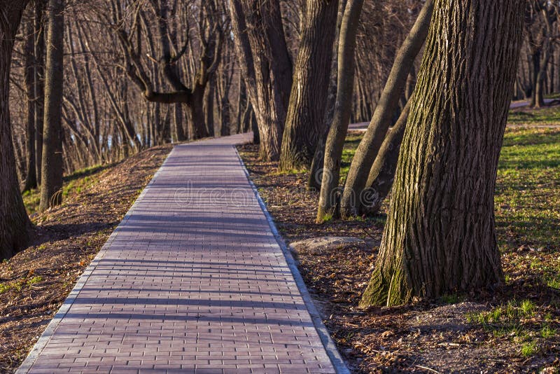 Early Spring Pathway in Park Stock Image - Image of natural, seasonal ...