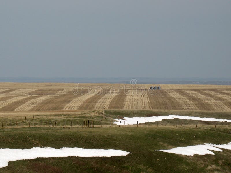 Early spring on the praire stock image. Image of grain - 17357835