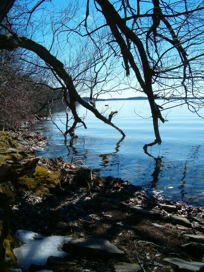 Early Spring Reflections stock photo. Image of mountains - 103788
