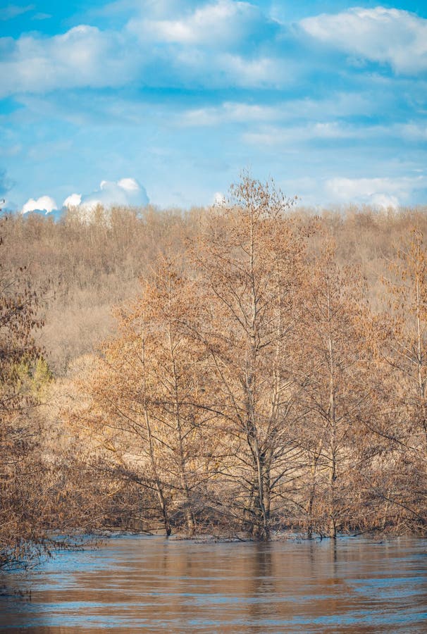 Early Spring on the River in High Water Stock Photo - Image of natural ...