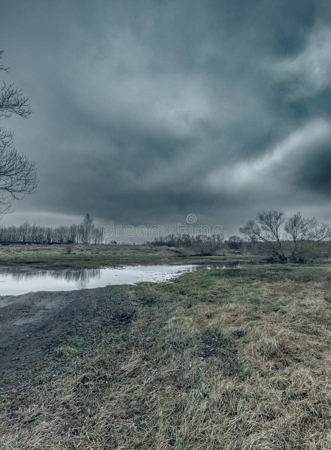 Early Spring on the River in High Water Stock Image - Image of morning ...