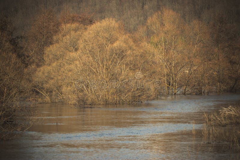 Early Spring on the River in High Water Stock Photo - Image of nature ...