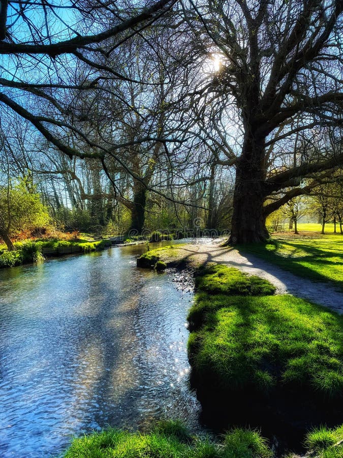 Early spring by the river stock photo. Image of waterway - 274976100