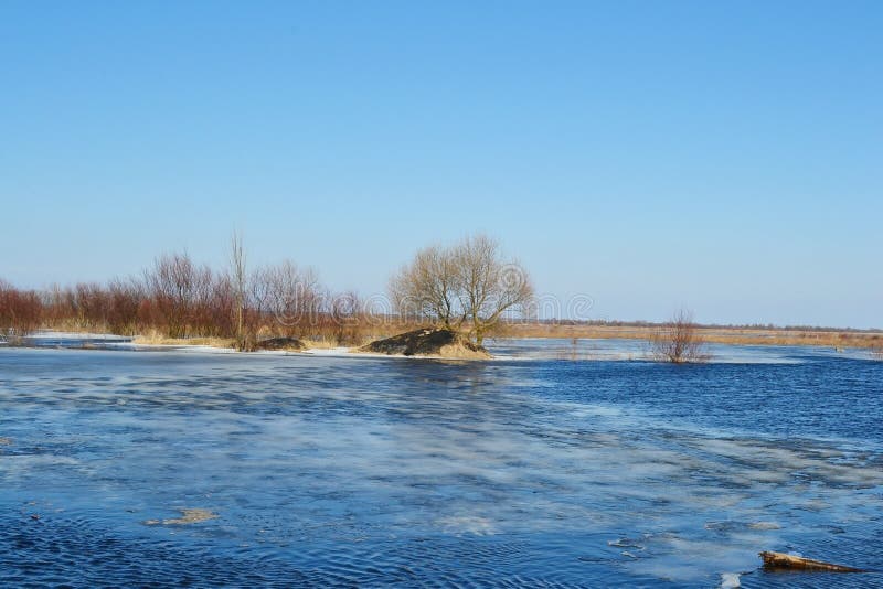 Early Spring on the River Pripyat Stock Photo - Image of nature ...