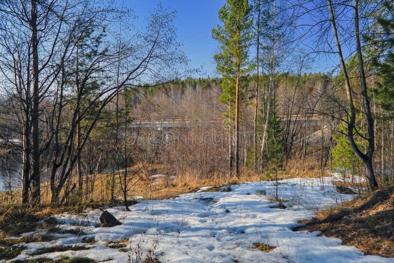 Early Spring Scene Melts Snow in the Forest Stock Image - Image of ...