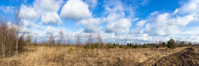 Early spring stock image. Image of landscapes, meadow - 38852417