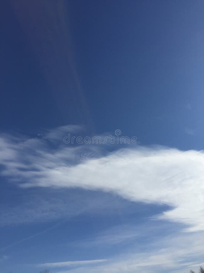 Early spring sunshine stock photo. Image of greenery - 86468720