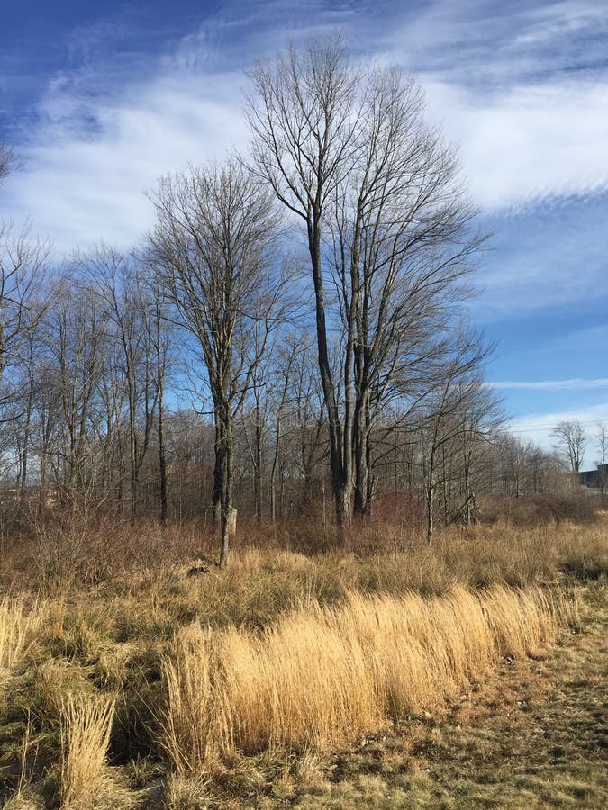 Early spring sunshine stock image. Image of easter, fountain - 86520407