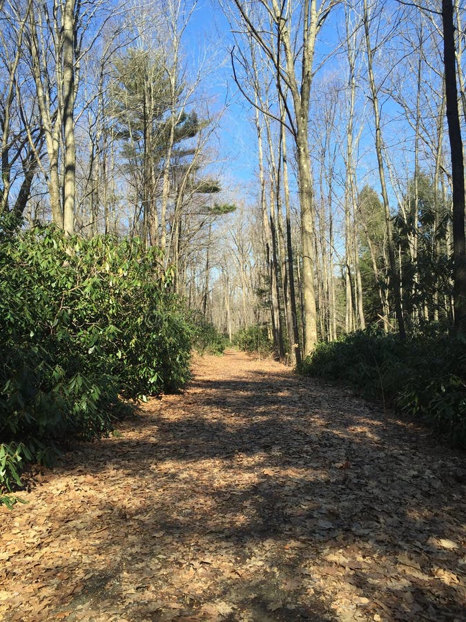Early spring sunshine stock image. Image of college, donner - 86542001