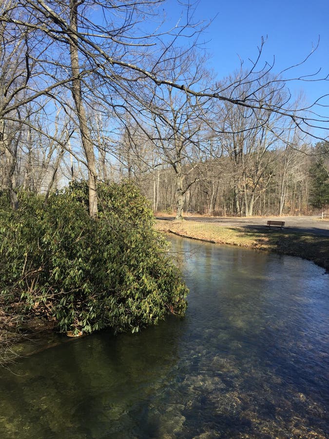 Early Spring Walks in Pennsylvania Stock Image - Image of frost, flower ...