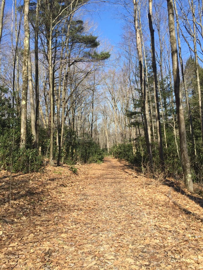 Early spring sunshine stock photo. Image of beautiful - 86545416