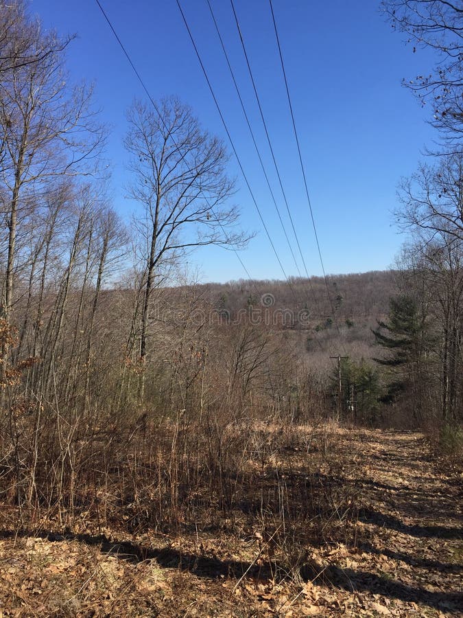 Early Spring Walks in Pennsylvania Stock Image - Image of frost, flower ...