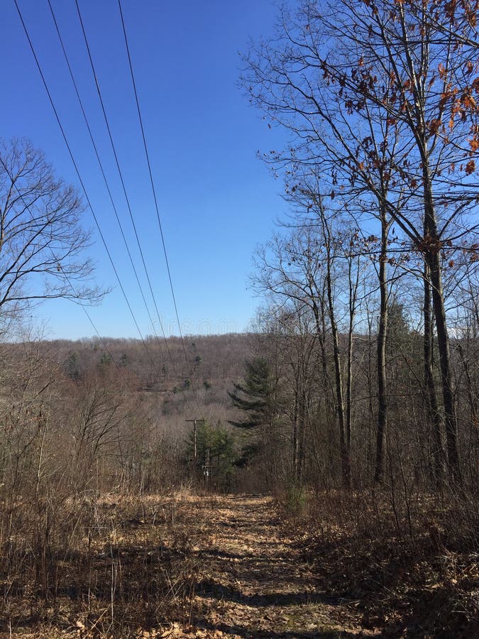 Early spring sunshine stock photo. Image of forest, crafts - 86589522
