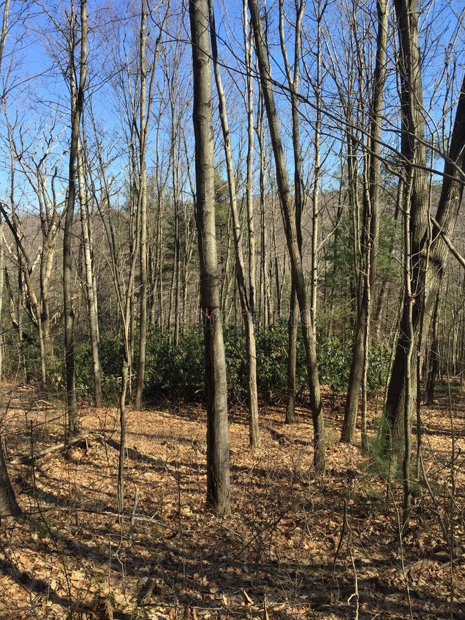 Early spring sunshine stock image. Image of febuary, cuddle - 86605739