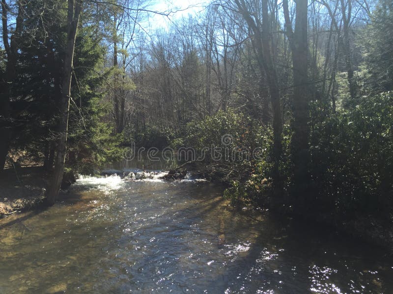 Early spring sunshine stock image. Image of green, dawn - 86640521