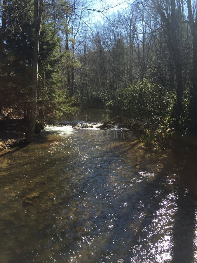 Early Spring Walks in Pennsylvania Stock Image - Image of frost, flower ...