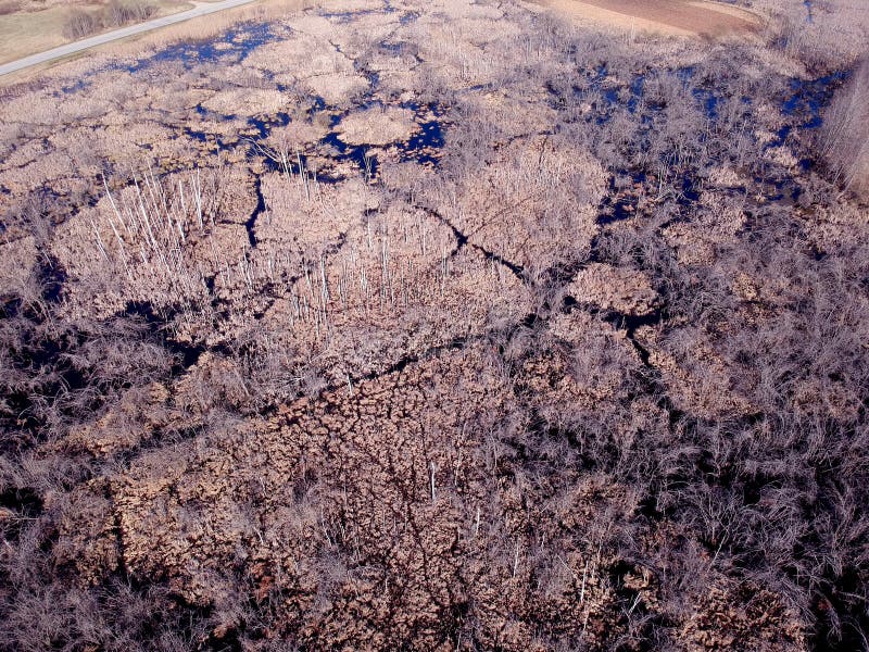 Early Spring Marsh Wetland, Aerial View Stock Photo - Image of fields ...