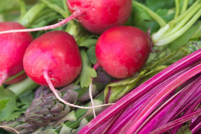 Early spring vegetables stock photo. Image of nutrition - 93730646