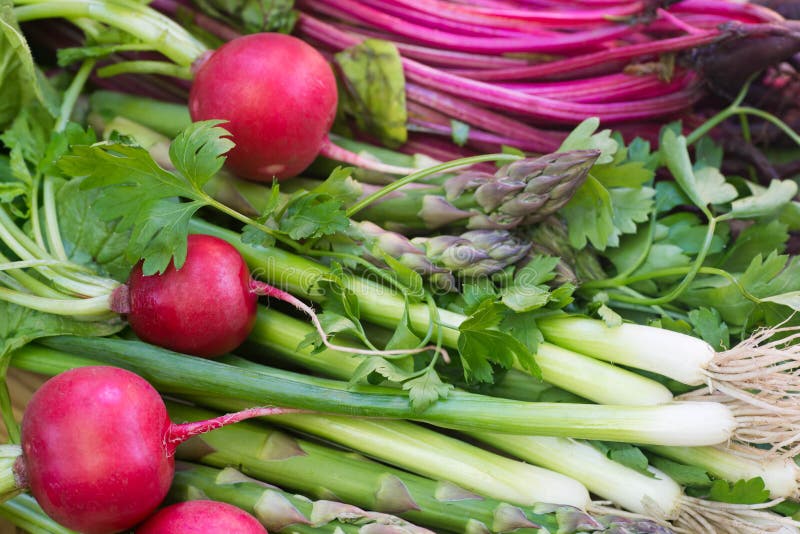 Early spring vegetables stock image. Image of beetroot - 93730659