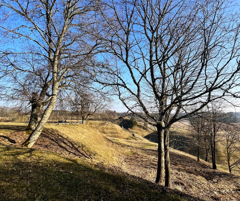 Early Spring View of Ancient Mounds with Bare Trees Stock Image - Image ...