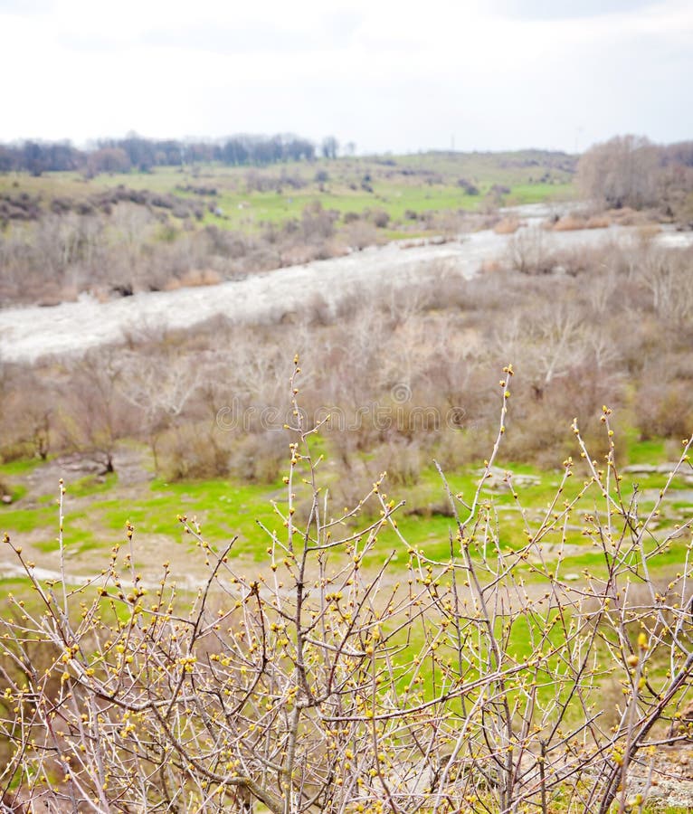 Early spring stock photo. Image of dirt, rock, spring - 50915780