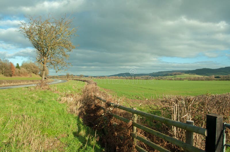 Early Springtime Fields in Wales. Stock Photo - Image of herefordshire ...