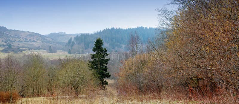 Early Springtime. a Photo of Forest Beauty in Early Springtime. Stock ...