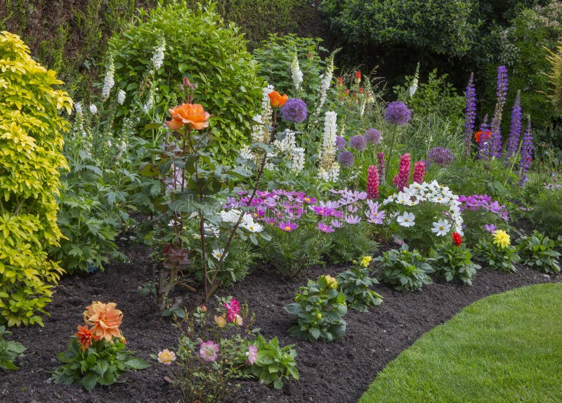 Early summer garden stock photo. Image of white, objects - 55477748