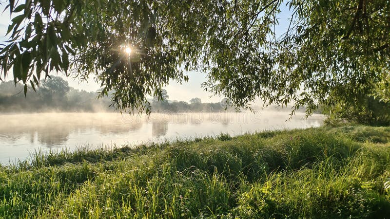 Early Summer Morning, the Sun Rose Over the Forest on the Far Side of ...
