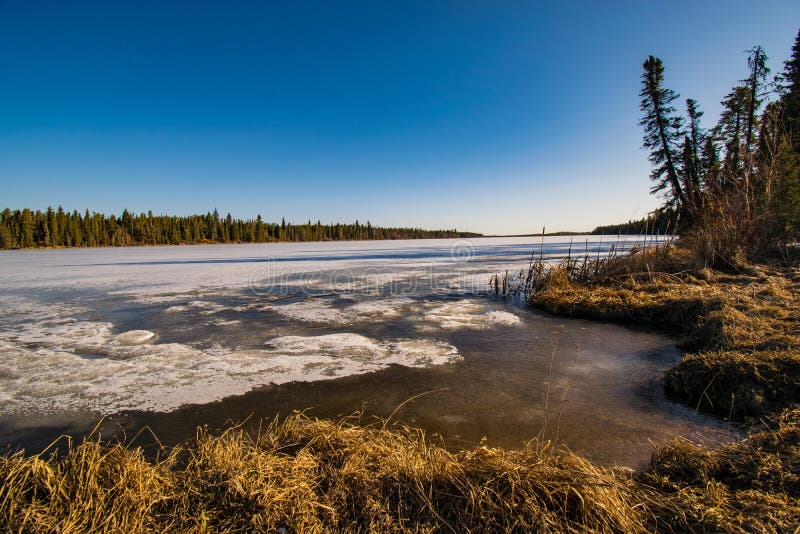 Early Sunny Spring Morning Mariana Lake Alberta Stock Image - Image of ...