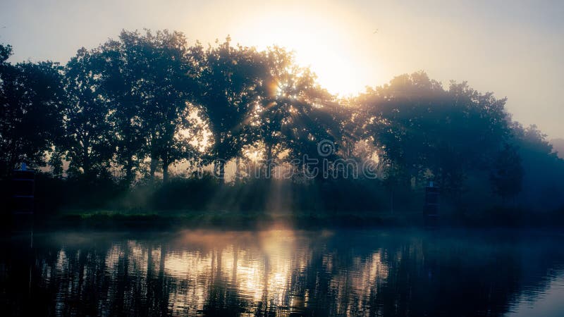 Early Sunrise View through the Trees. Sunshine Reflecting on the Calm ...
