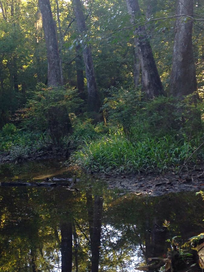 Humid Smaml Stock Photos - Free & Royalty-Free Stock Photos from Dreamstime