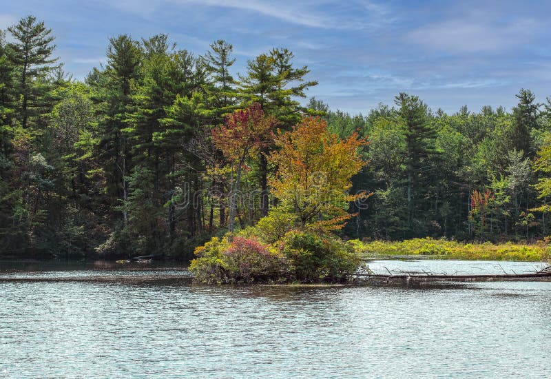 Early Touch of Fall at Paradise Pond Stock Photo - Image of colors ...