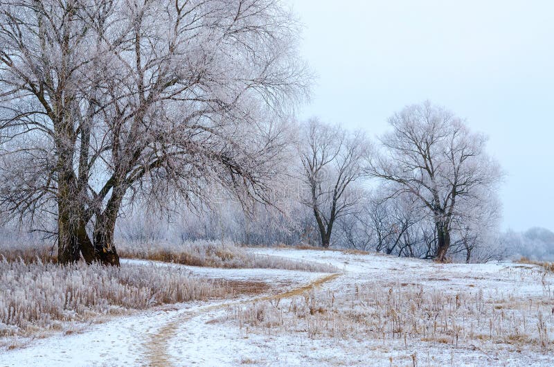 Early twilight in December stock photo. Image of december - 48777506