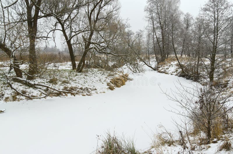 Early winter stock image. Image of natural, nature, doleful - 64262207