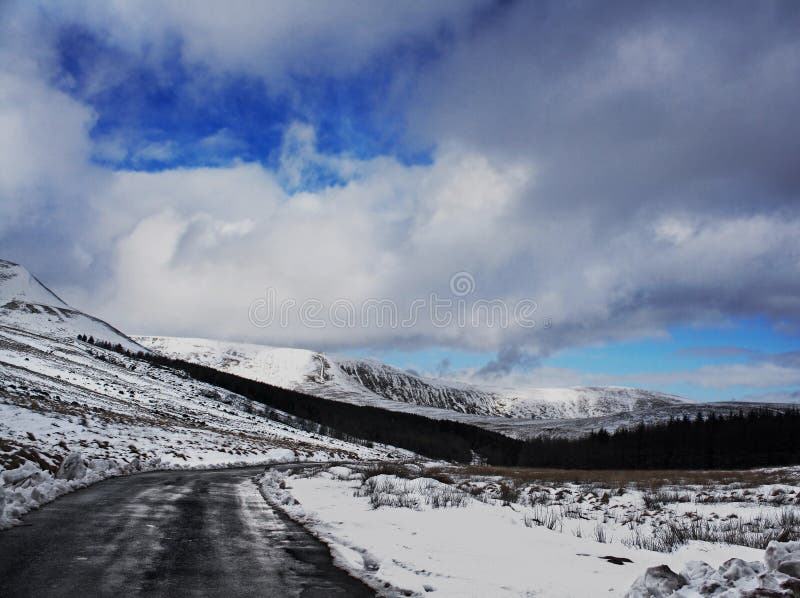 Early Winter Snow stock photo. Image of winter, trees - 21379932