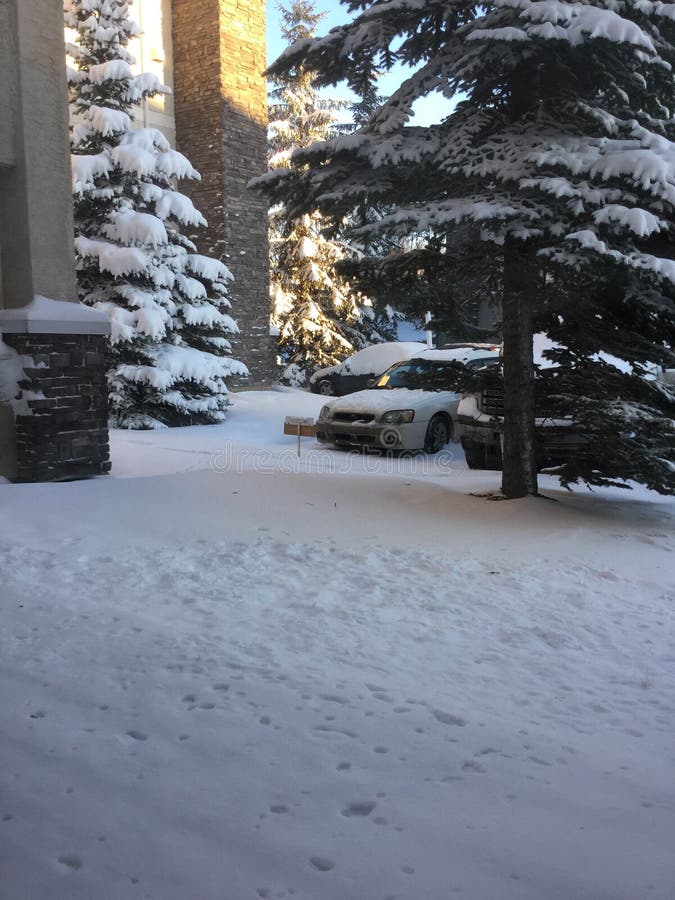 Early winter snow stock image. Image of early, afternoon - 48655029