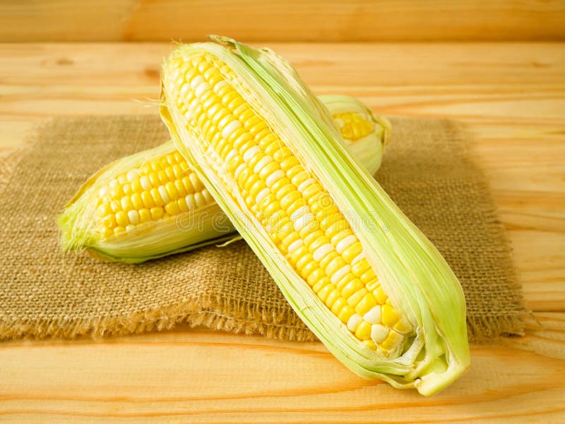 Ears of bicolor sweet corn stock image. Image of corncob - 371646705