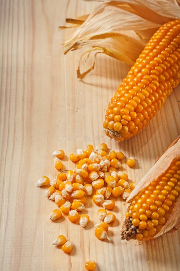 Golden Corn Composition stock image. Image of diet, farm - 2839205