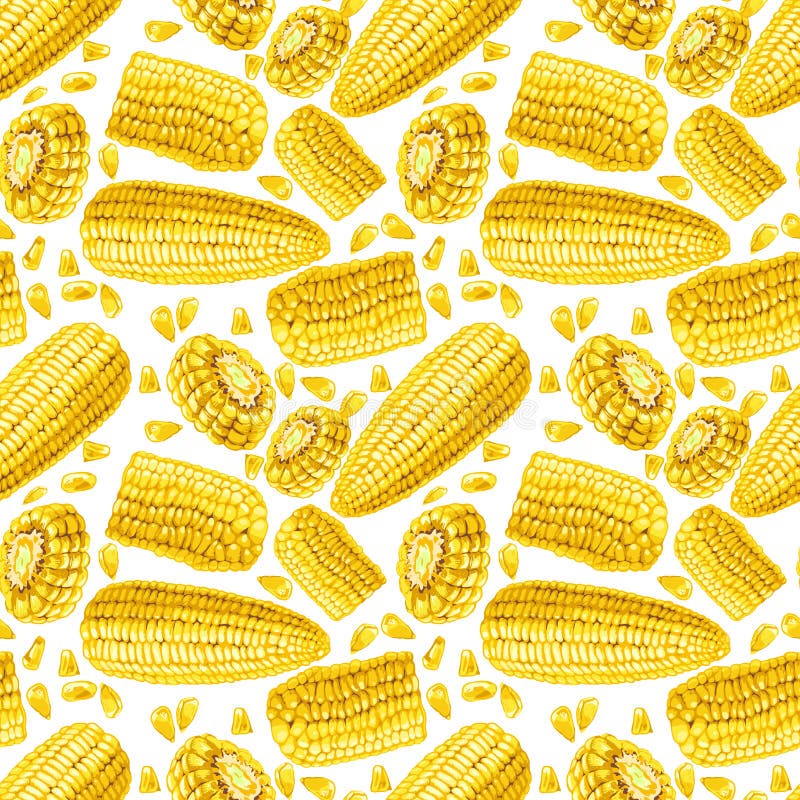 Realistic Texture Corn Vector Illustration Stock Illustrations – 207 ...