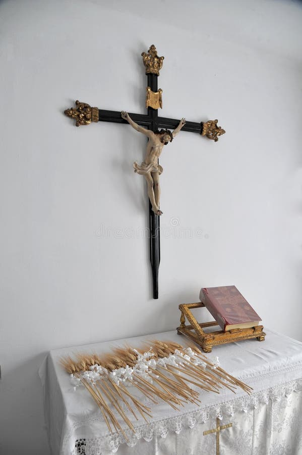 Jesus in corn field stock photo. Image of biomass, harvesting - 168152462